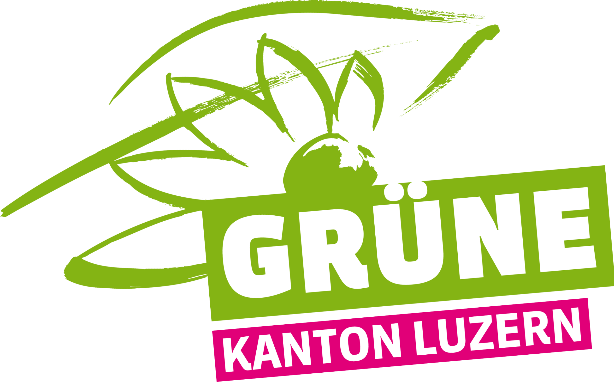 Sammeln für die Solarinitiative in Sursee – GRÜNE Kanton Luzern